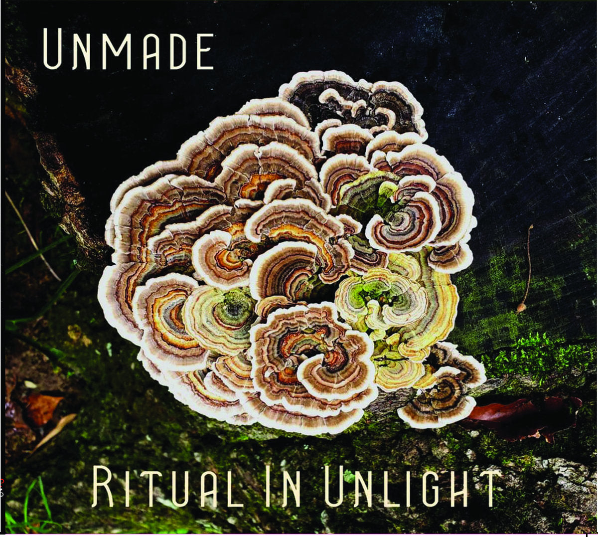 Unmade - Ritual In Unlight – Rural Isolation Project